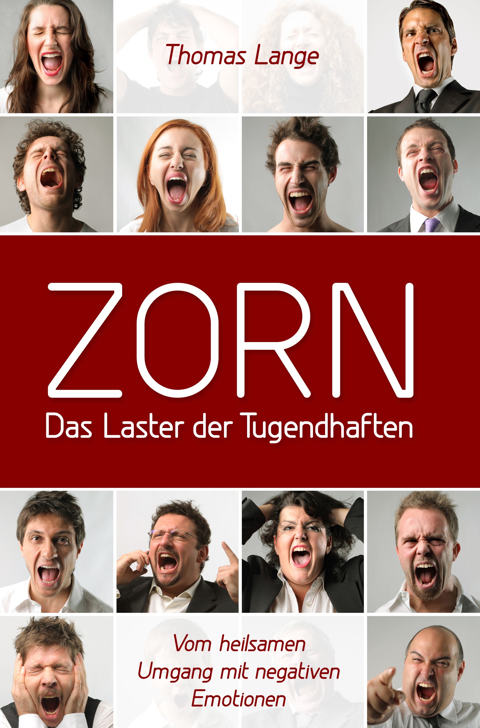 Zorn - Das Laster der Tugendhaften / Vom heilsamen Umgang mit negativen Emotionen - Lange Thomas ...